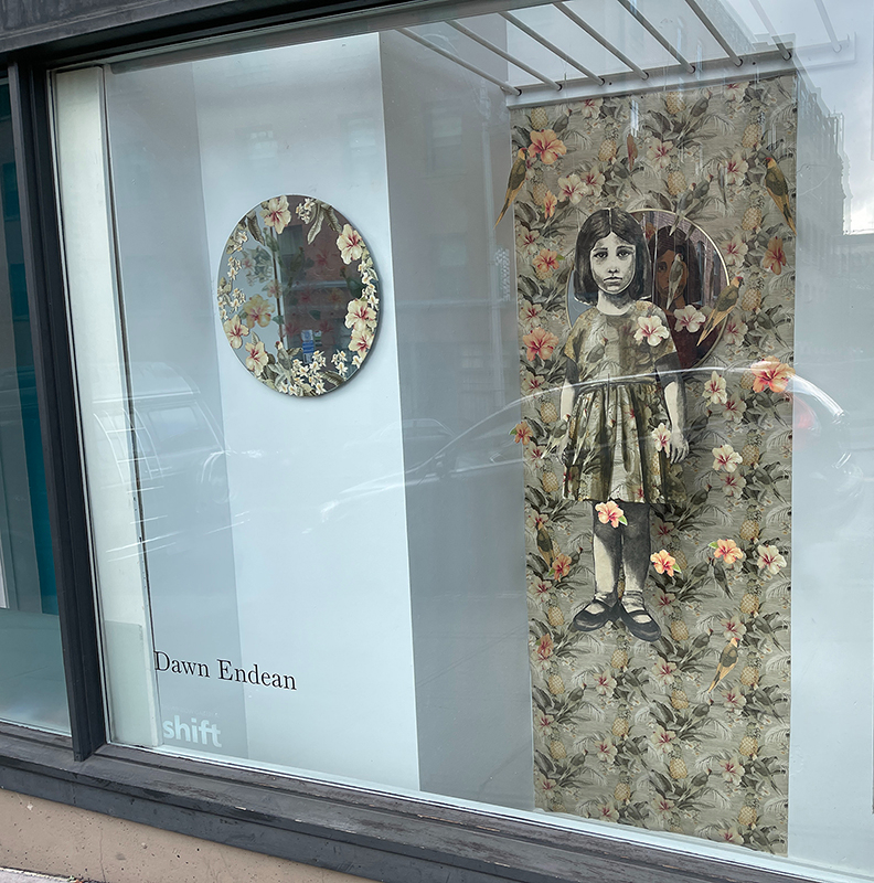 Dawn Endean | Chameleon | february 2025 – The Window Gallery at Shift